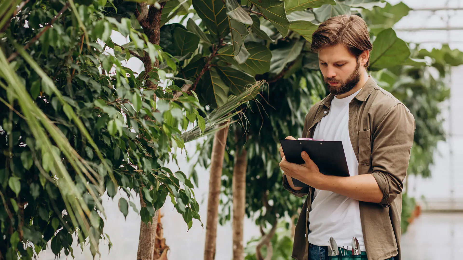 Enhance Your Camden Garden with Professional Care